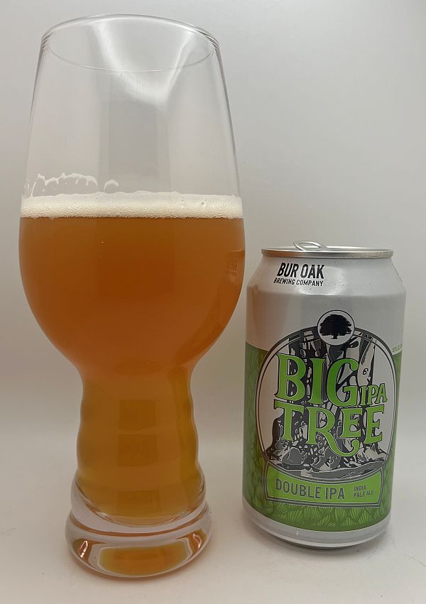 Review of Bur Oak Brewing's Big Tree IPA - Hops Aficionado