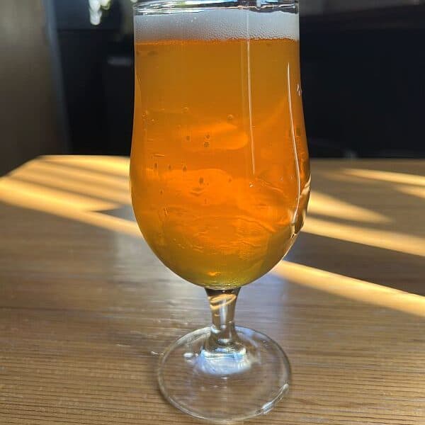 Review: Cigar City Jai Alai IPA - Hops Aficionado